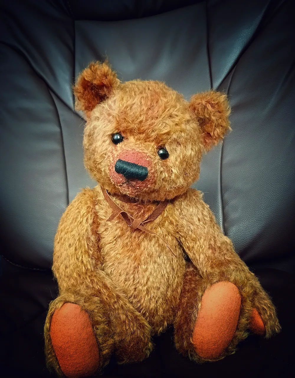 Fedya by Elena Ginter - Bear Pile