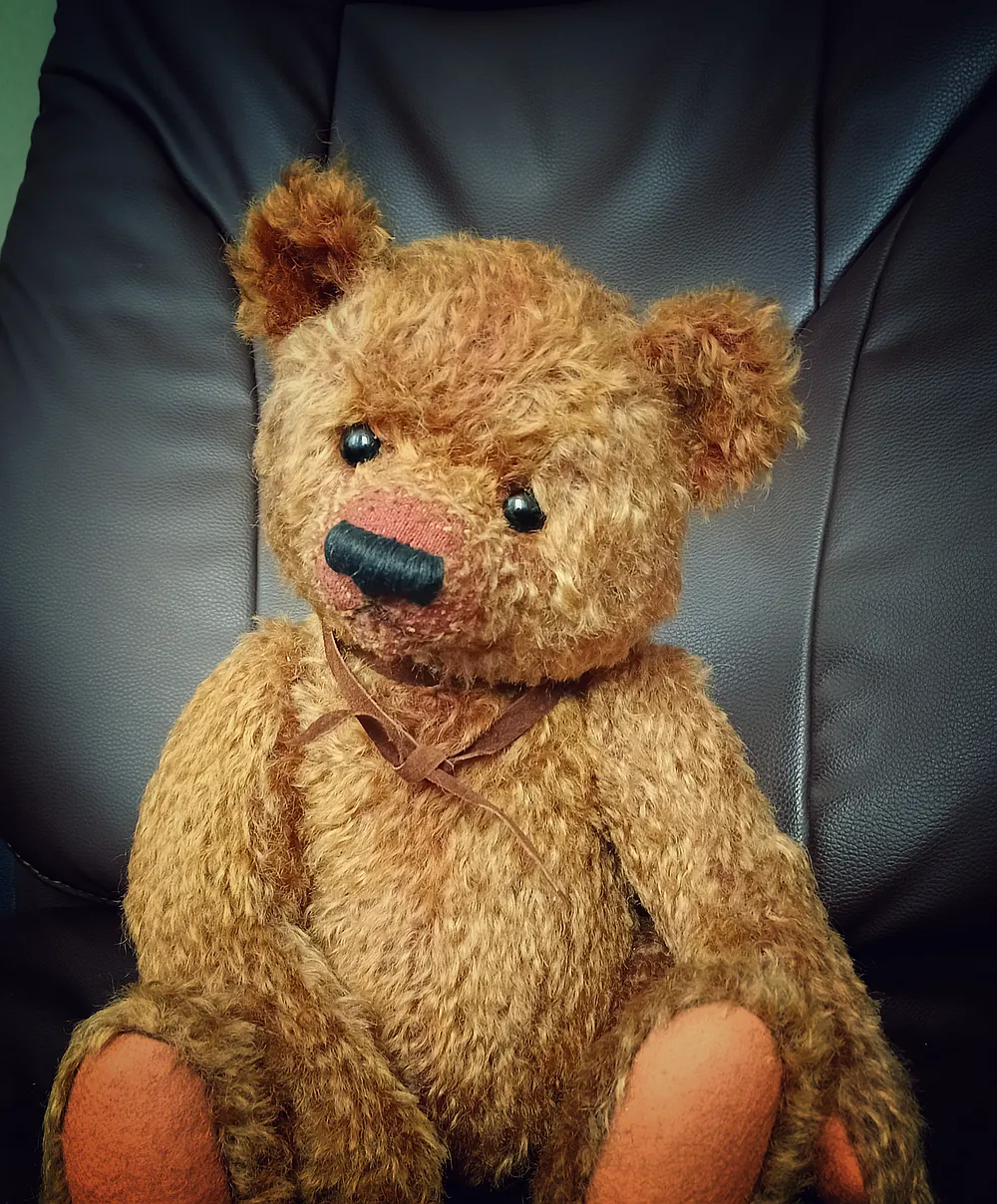 Fedya by Elena Ginter - Bear Pile