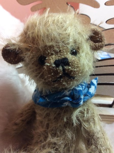 Milo by Celestial bears - Bear Pile