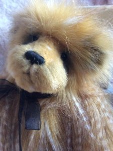 Milo by Celestial bears - Bear Pile