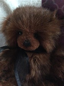 Milo by Celestial bears - Bear Pile