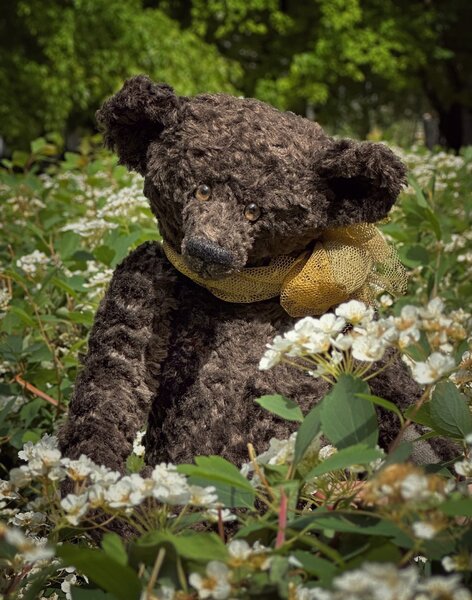 Os by Rodionova Julia - Bear Pile