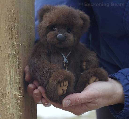 OWEN - a mink bear by Tammy Wamboldt - Bear Pile