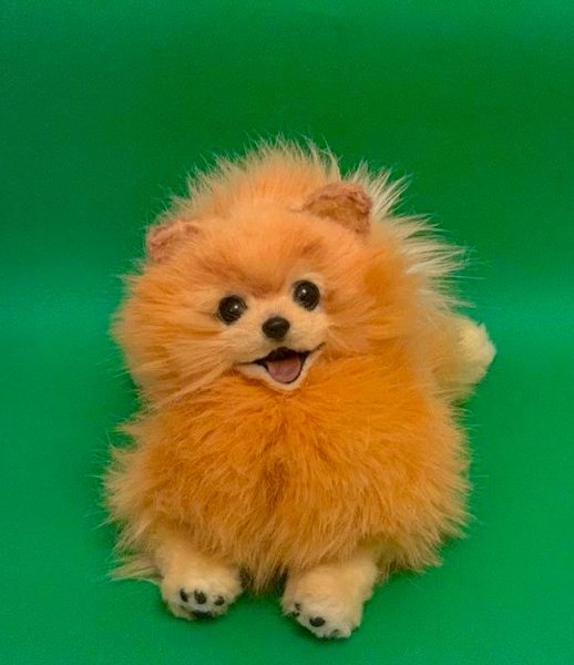 Bonny Shpitz by Elena Balashova - Bear Pile