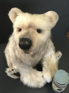 Lillian Hopper of old post office bears by Dawn Jellis-Jones - Bear Pile