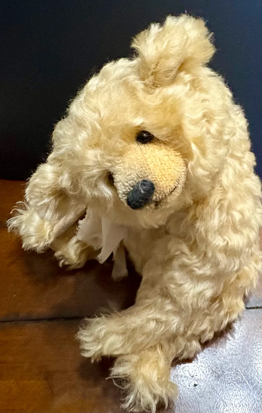 Dandelion by Alla Zubkova - Bear Pile