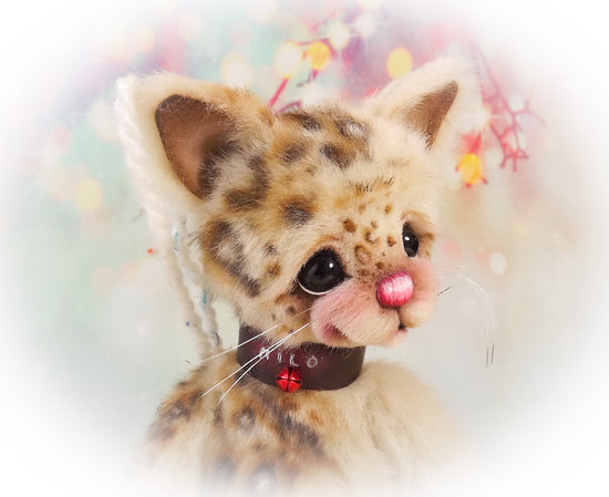 Milo the kitty by A bear by kim - Bear Pile