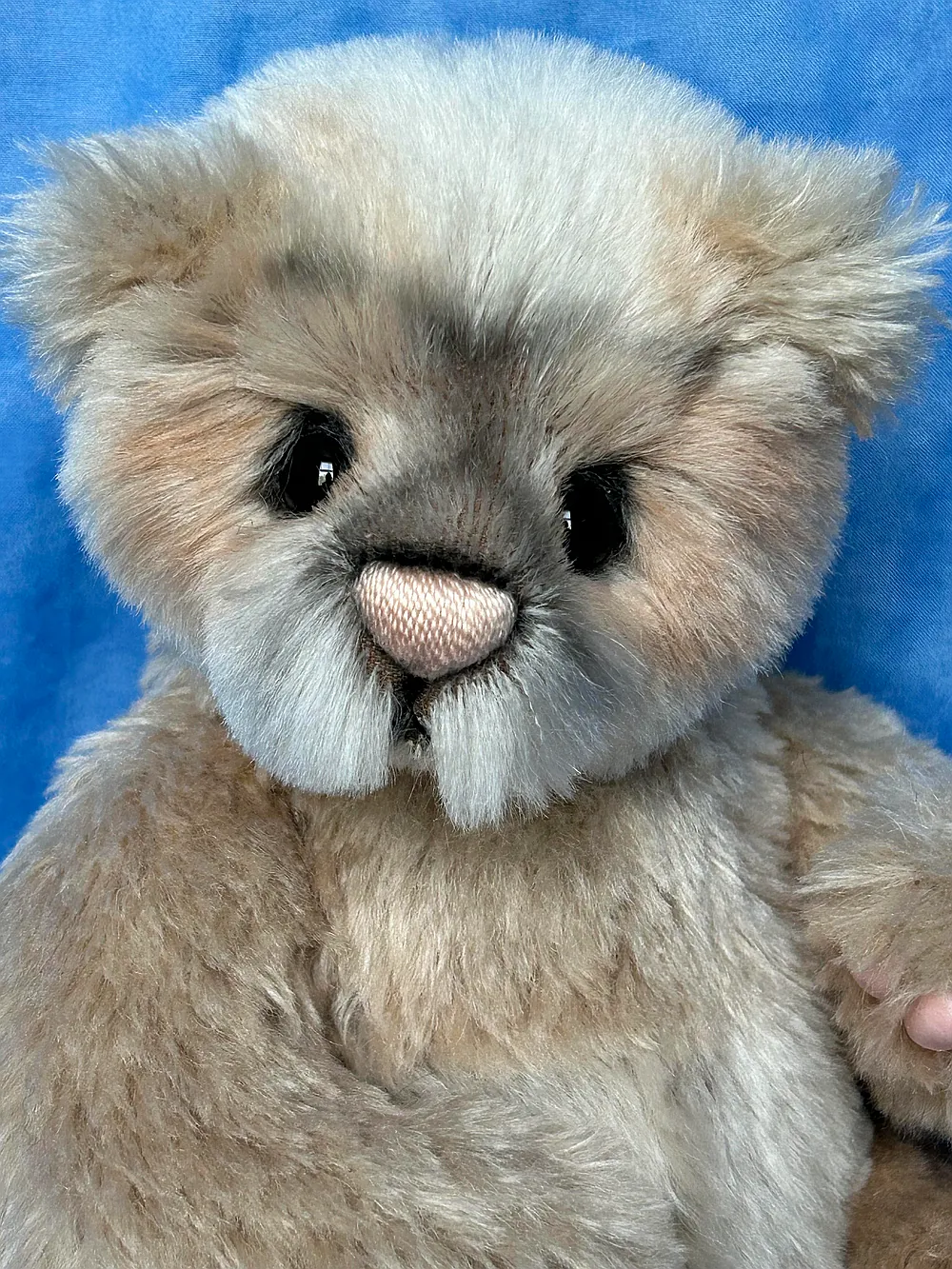 Miguelito by Ellen Borggreve - Bear Pile