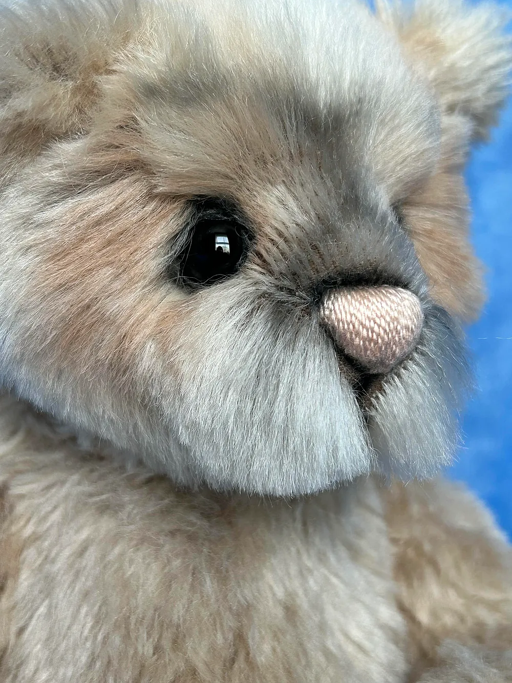 Miguelito by Ellen Borggreve - Bear Pile