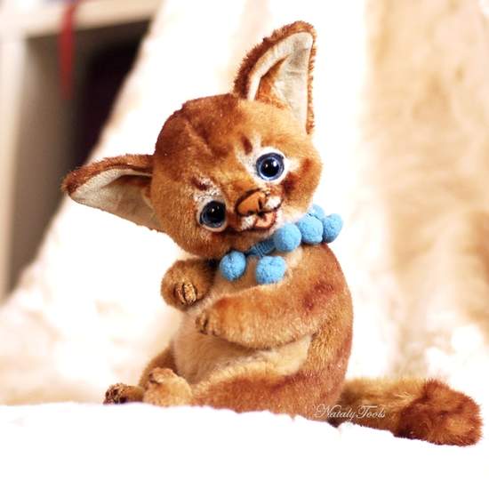 Abyssinian kitten by NatalyTools - Bear Pile