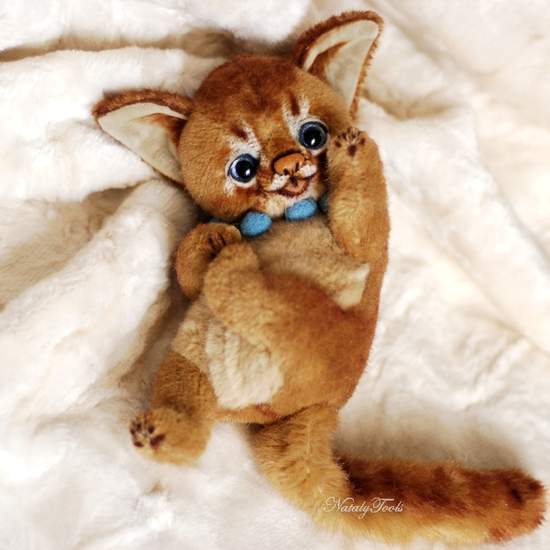 Abyssinian kitten by NatalyTools - Bear Pile