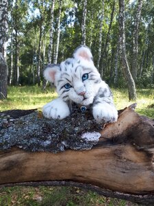 Lolo by I - Bear Pile