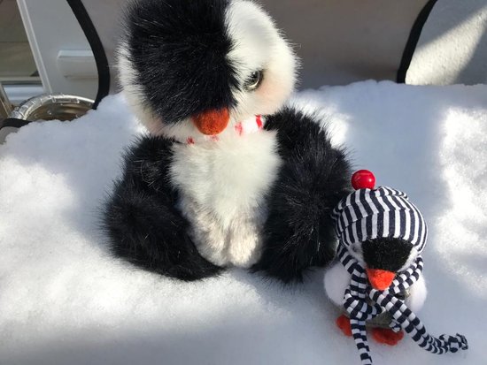 Pengu and Pingu by Unknown - Bear Pile