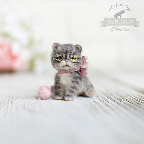 Miniature Tabby Kitten by Natalie Kuznetsova - Bear Pile