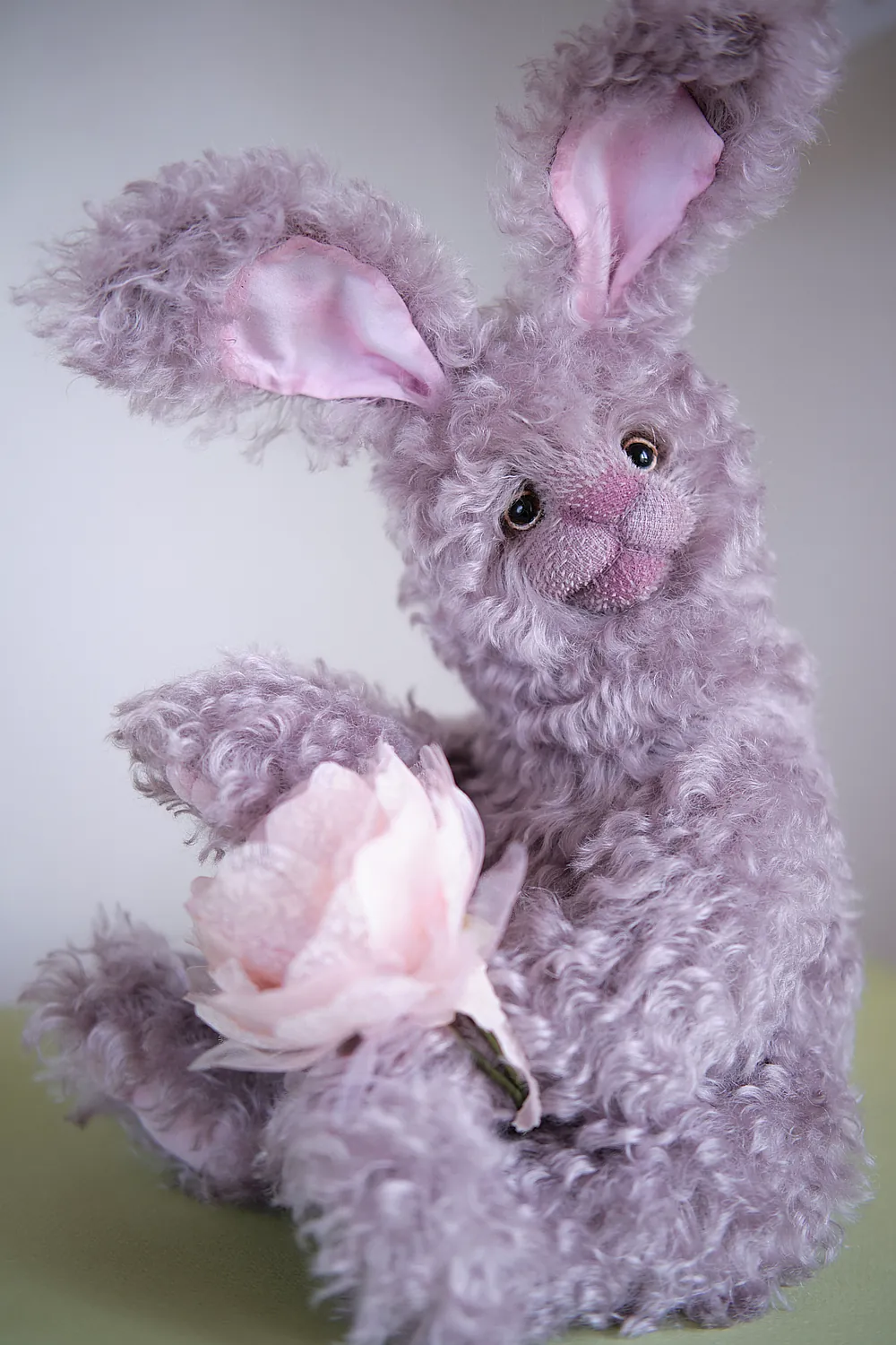 Violet Bunny by Yanina - Bear Pile