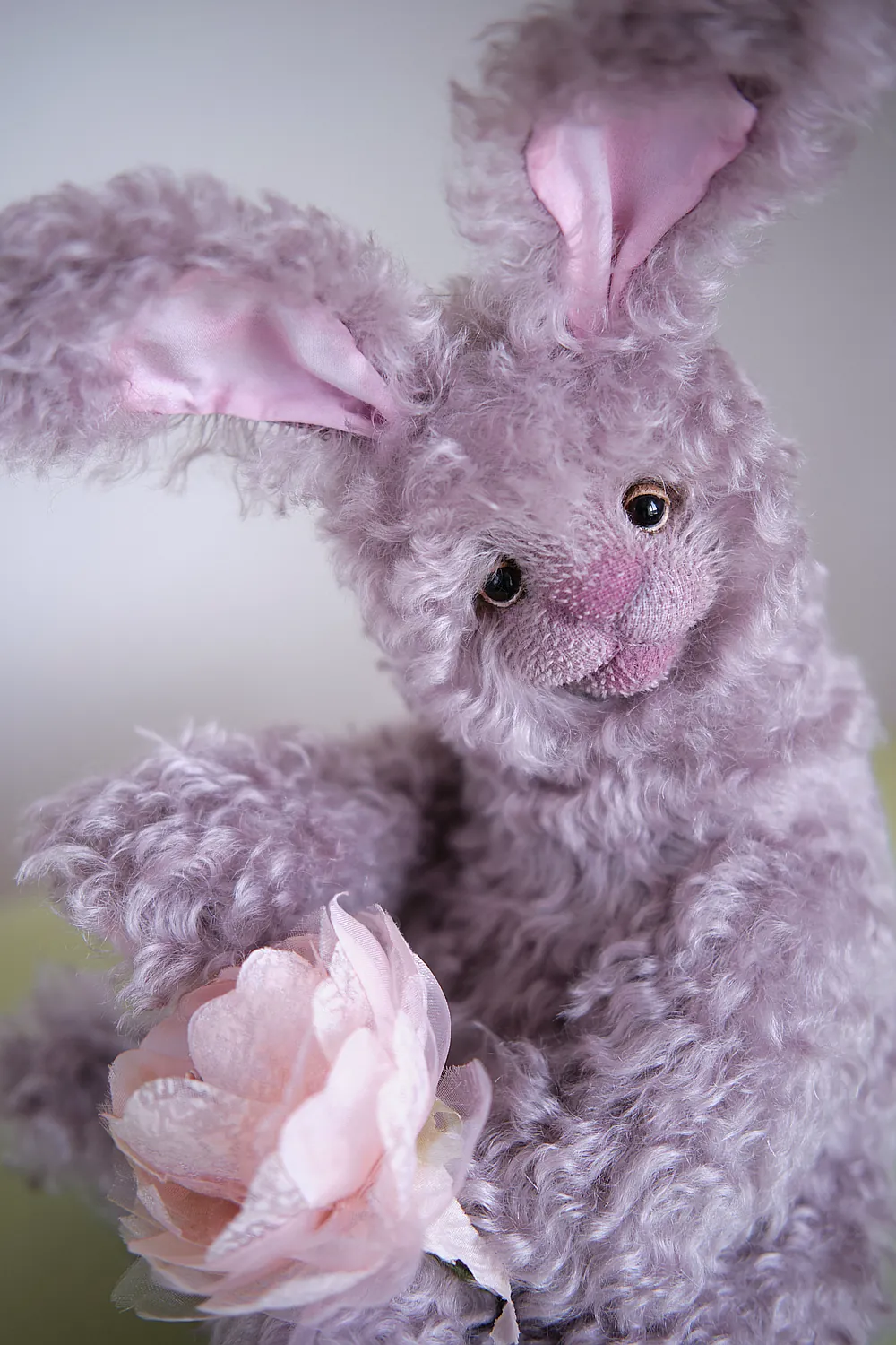 Violet Bunny by Yanina - Bear Pile