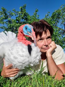 Simba by Erika Cilinska - Bear Pile