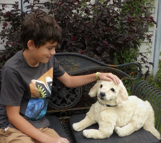 Sam by Britta Helberg - Bear Pile