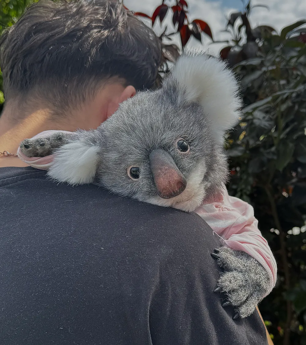 Collin by Britta Helberg - Bear Pile