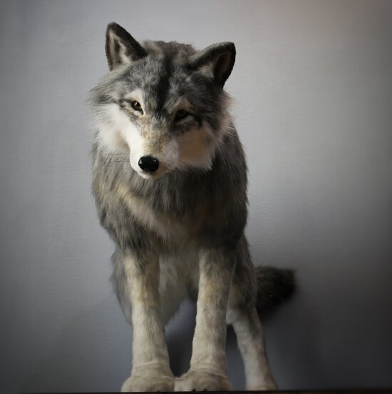 Gray Wolf soft realistic toy by Soboleva Irina - Bear Pile