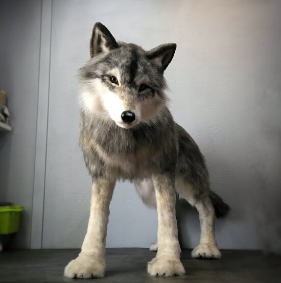 Gray Wolf soft realistic toy by Soboleva Irina - Bear Pile