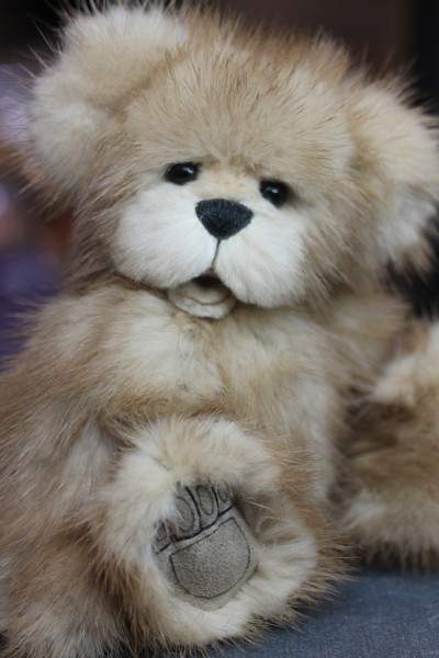 Lizzy by Kimbearlys - Bear Pile