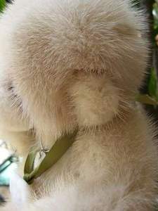 Sandi-Mink by Ellen Barnett - Bear Pile