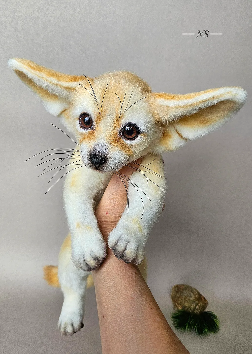 Fennec fox. Baby by Natalie Sokolova - Bear Pile