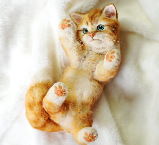 Realistic toy kitten by Elena Ivchenko - Bear Pile