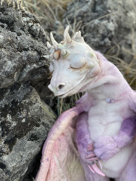 The Fabulous Dragon by Natalia Babenko - Bear Pile