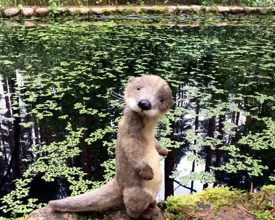 Toyla by Teddyana - Bear Pile