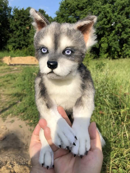 Raccon Yasha by Olga Sinitsina - Bear Pile