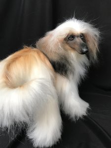 Raccon Yasha by Olga Sinitsina - Bear Pile