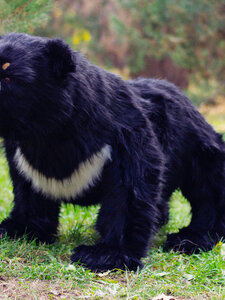 Artist Bears and Handmade Teddy Bears - Bear Pile