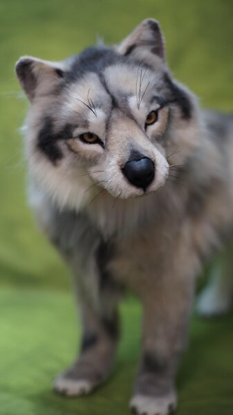 Wolf Beowulf by Sobyanina Yuliya - Bear Pile