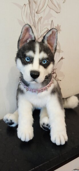 Puppy husky by Nedashkovskaya Anna - Bear Pile