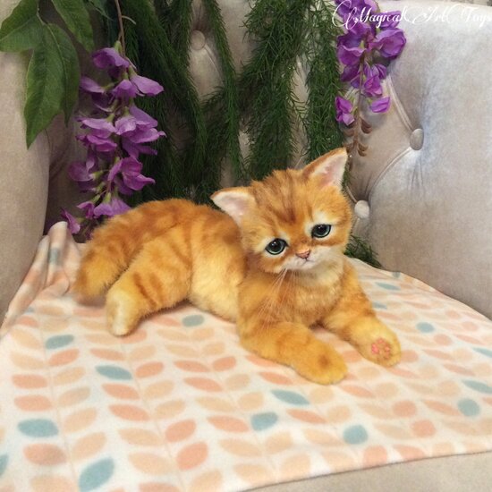 Realistic tabby red kitten by Svetlana Panchenko - Bear Pile
