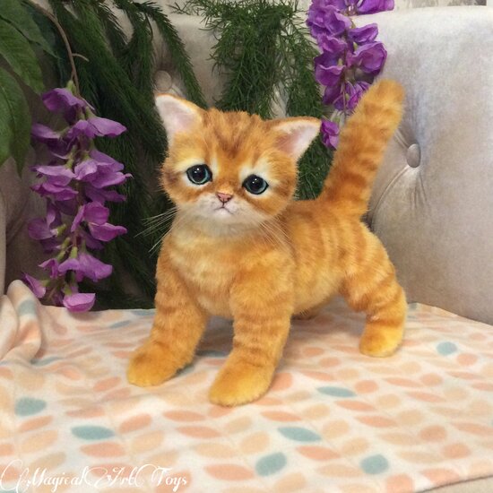 Realistic tabby red kitten by Svetlana Panchenko - Bear Pile