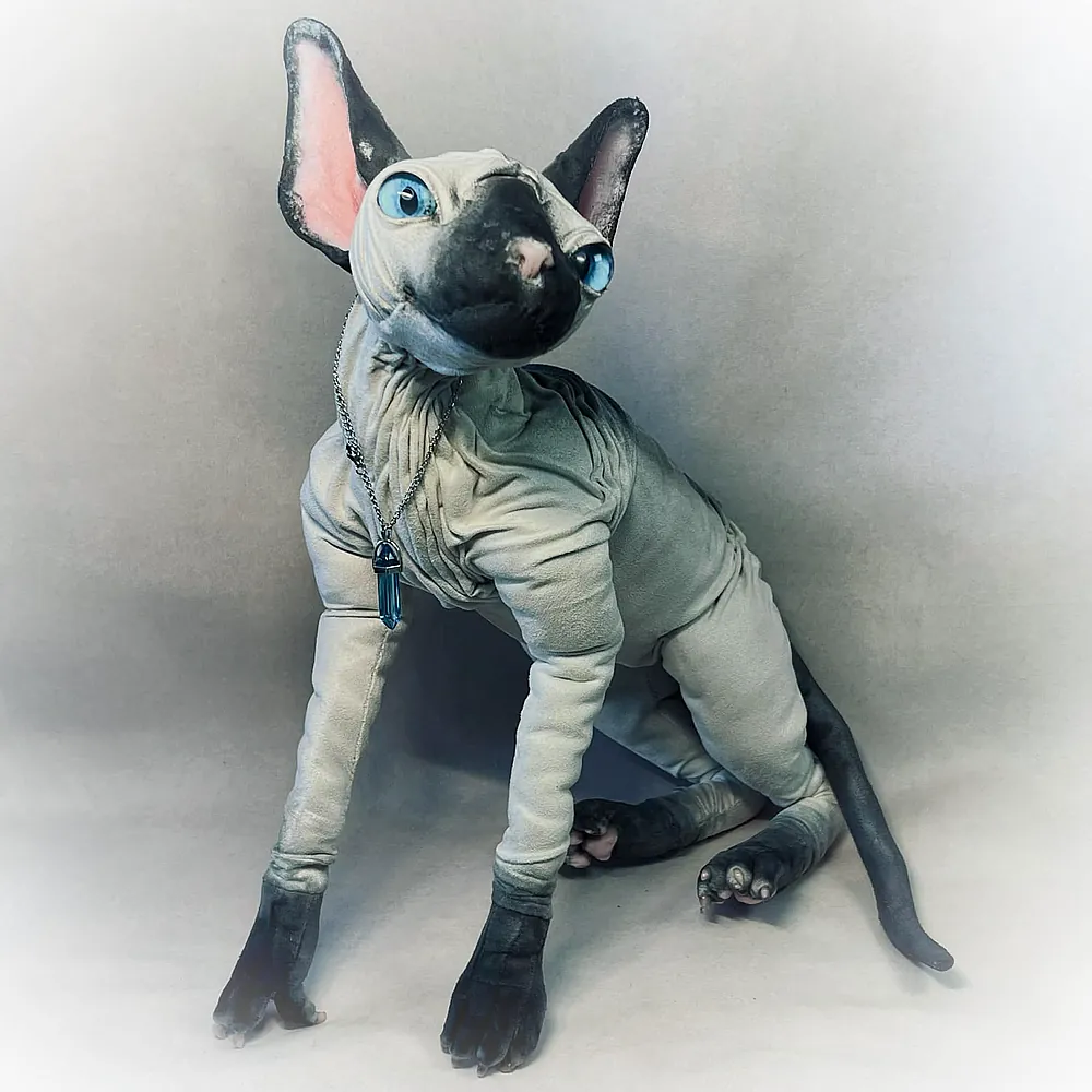 Sphynx Cat [Theodore] by SandraArt - Bear Pile