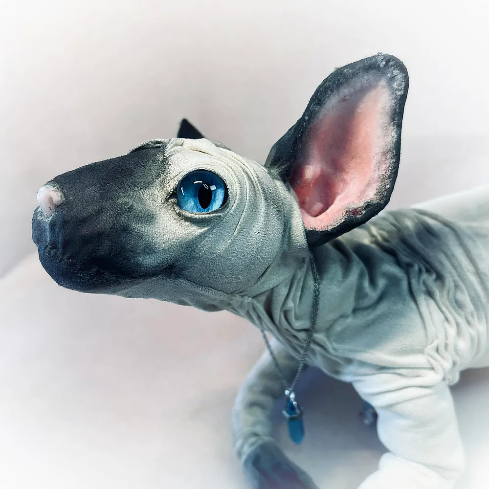 Sphynx Cat [Theodore] by SandraArt - Bear Pile