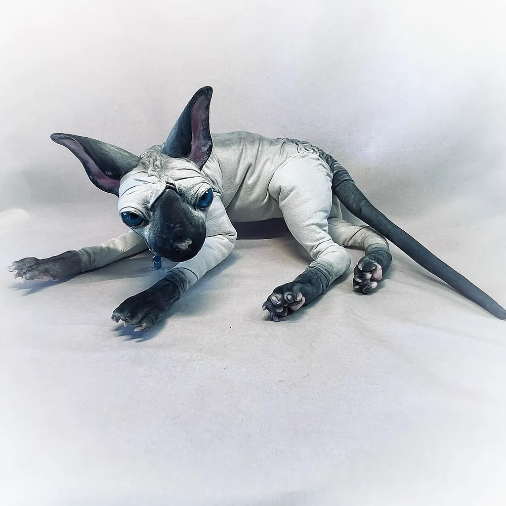 Sphynx Cat [Theodore] by SandraArt - Bear Pile