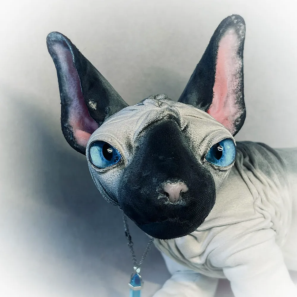 Sphynx Cat [Theodore] by SandraArt - Bear Pile