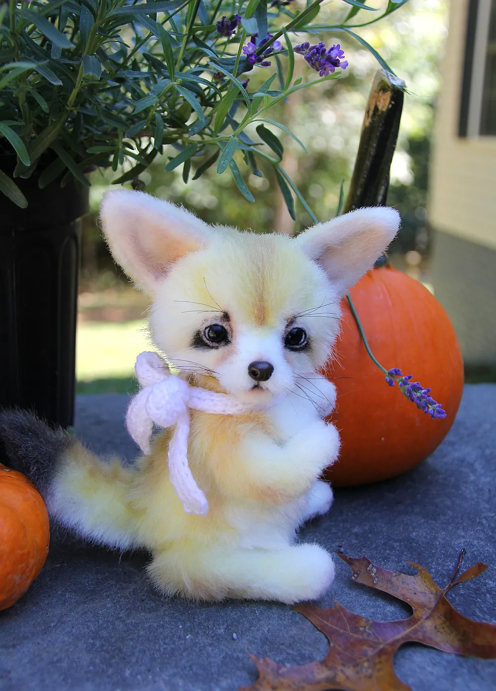 Baby Fennec Fox by Elena Lemerk - Bear Pile