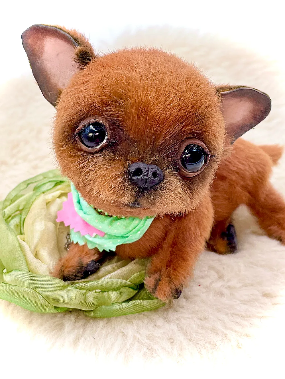 Roxy by Irina Ermakova - Bear Pile