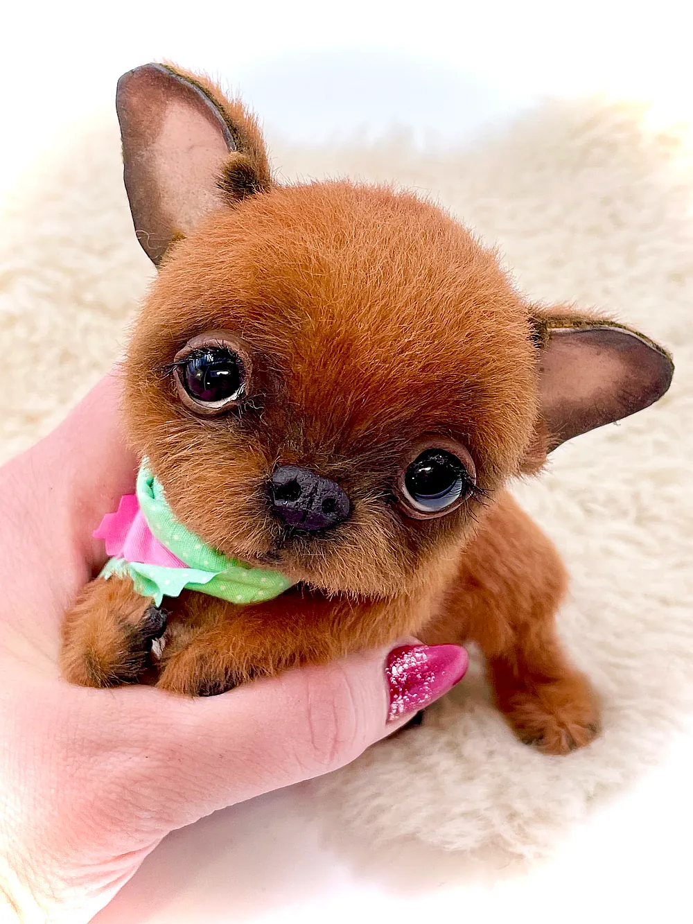 Roxy by Irina Ermakova - Bear Pile