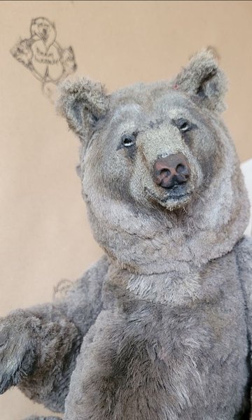 Ash Bear by InessaM - Bear Pile