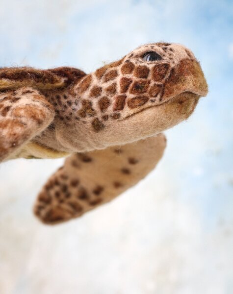 Sea turtle by Ekaterina Vysotskaya - Bear Pile
