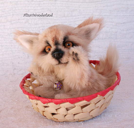 Keito long pile Chihuahua by Alisa Shangina - Bear Pile