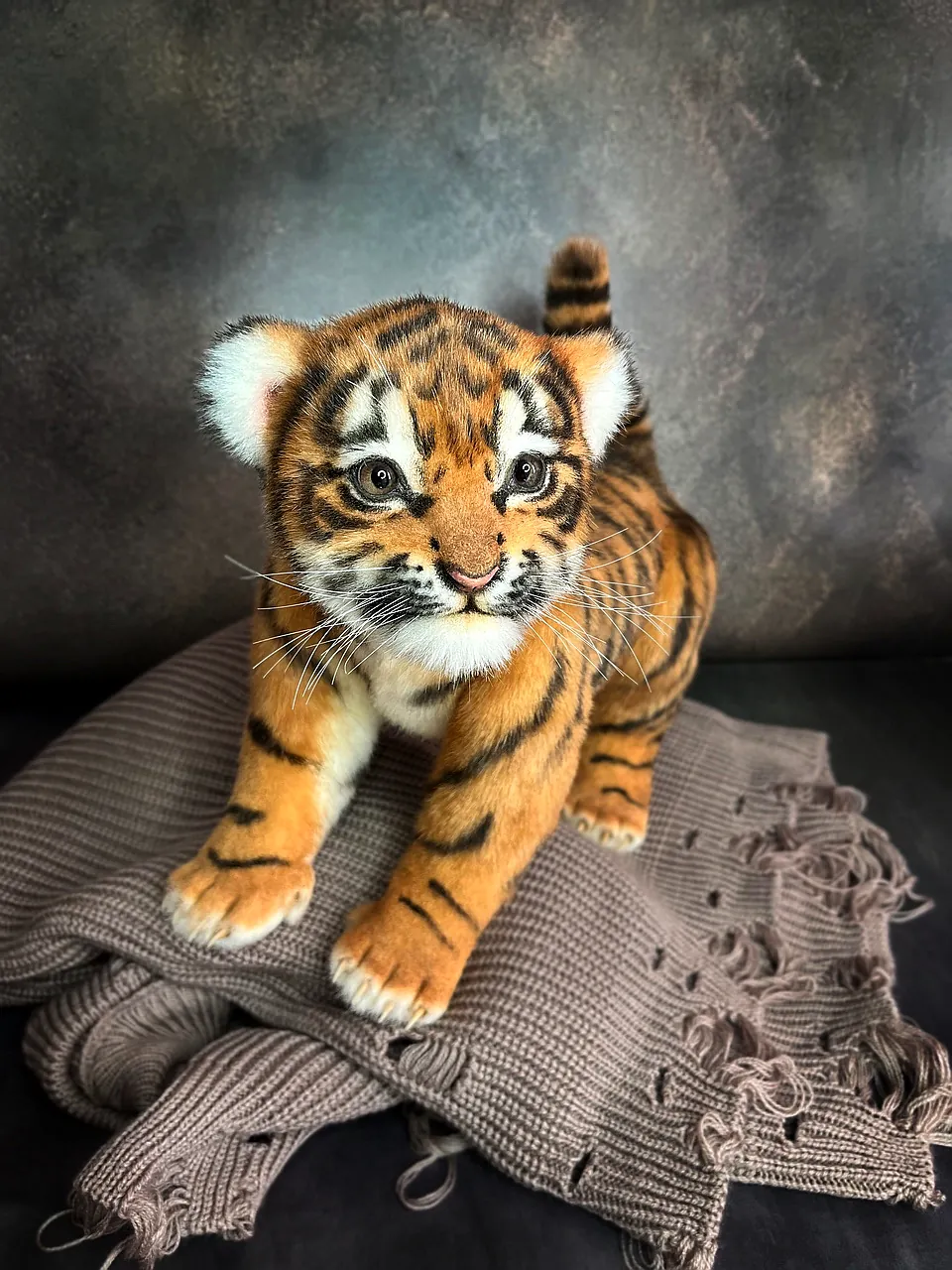 Red tiger cub by Alena Kamekina - Bear Pile