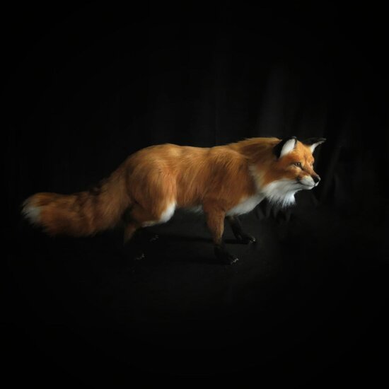 Vixey fox by Smurova Maria - Bear Pile